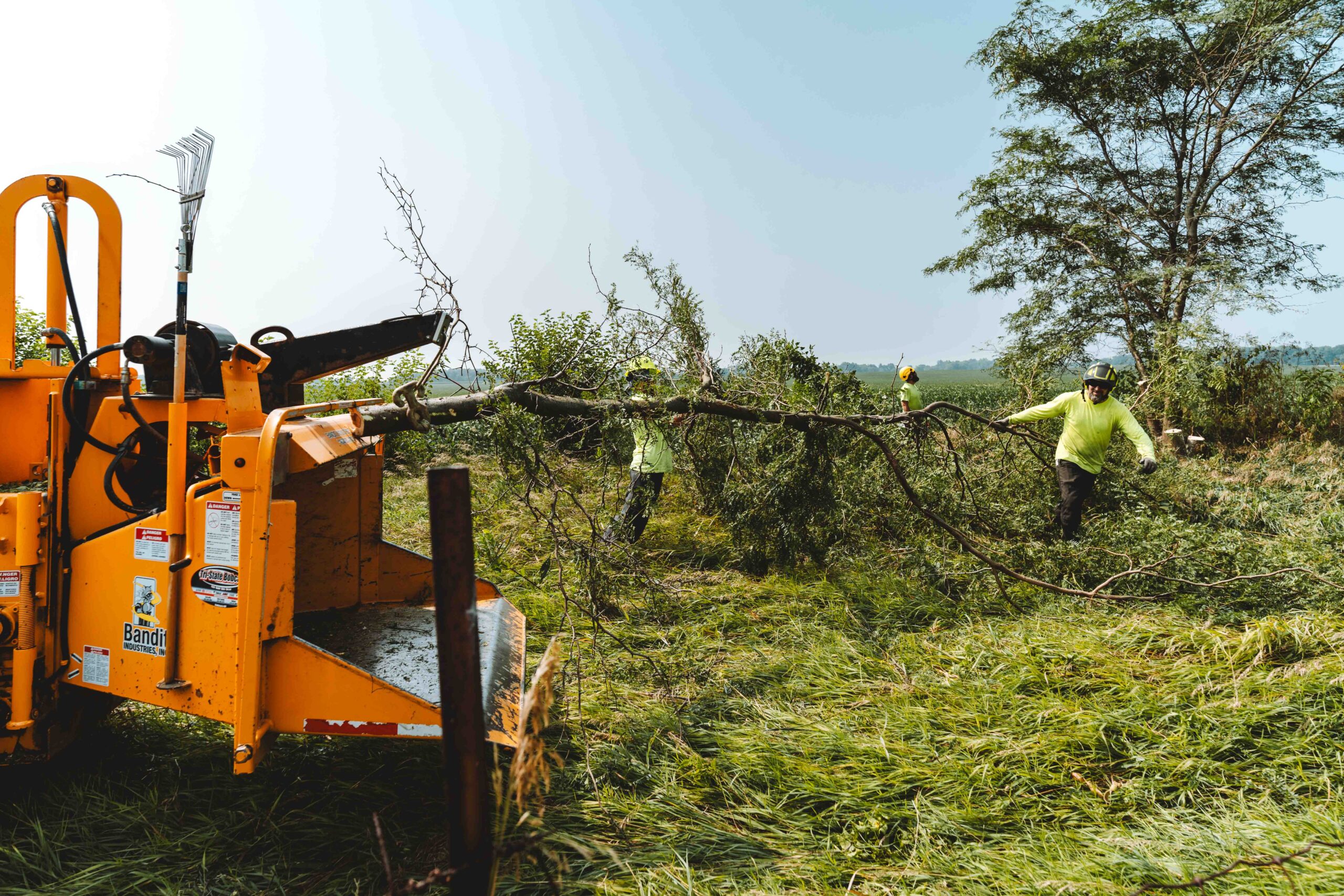 Tipmont recognized as a 2024 Tree Line USA utility - Tipmont