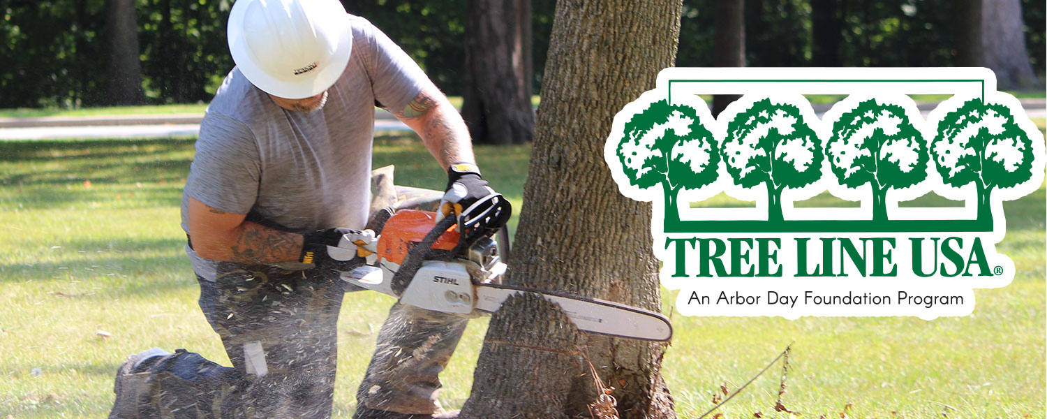 Arbor Day Foundation Awards Recognition to Tipmont REMC as 2023 Tree ...